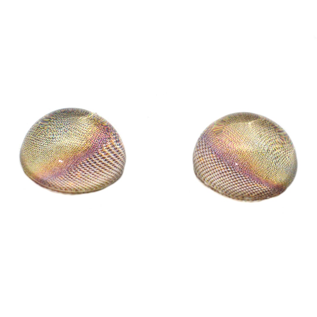 High Dome Pale Yellow and Blush Compound Fly Insect Half Sphere Glass ...