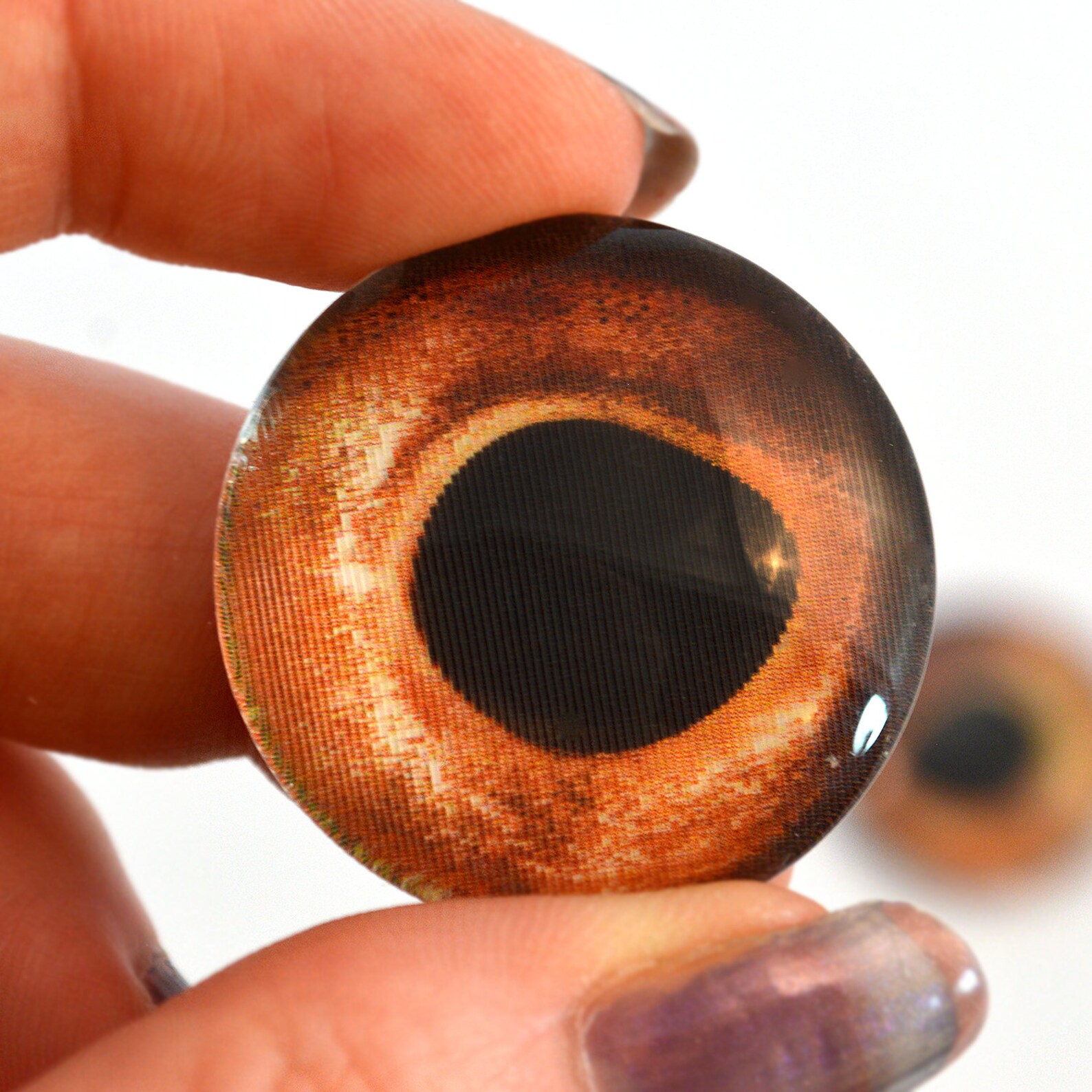 Color Changing Animated Fish Glass Eyes Perch Holographic | Etsy