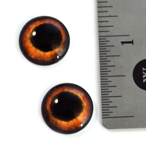 Amber Dog Glass Animal Eyes, 6mm to 40mm, Jewelry Making Art Dolls ...