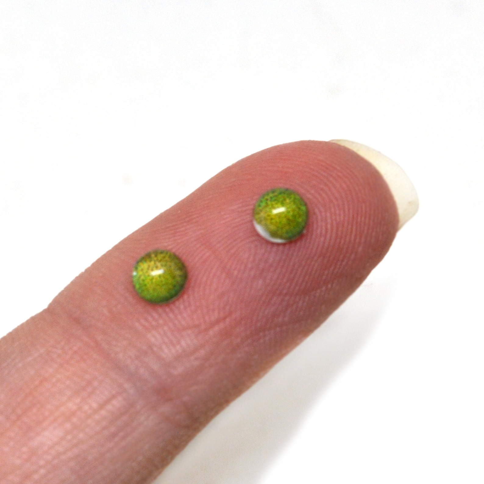 4mm Green Compound Insect Dragonfly Bug Fly Glass Eyes Cabs | Etsy