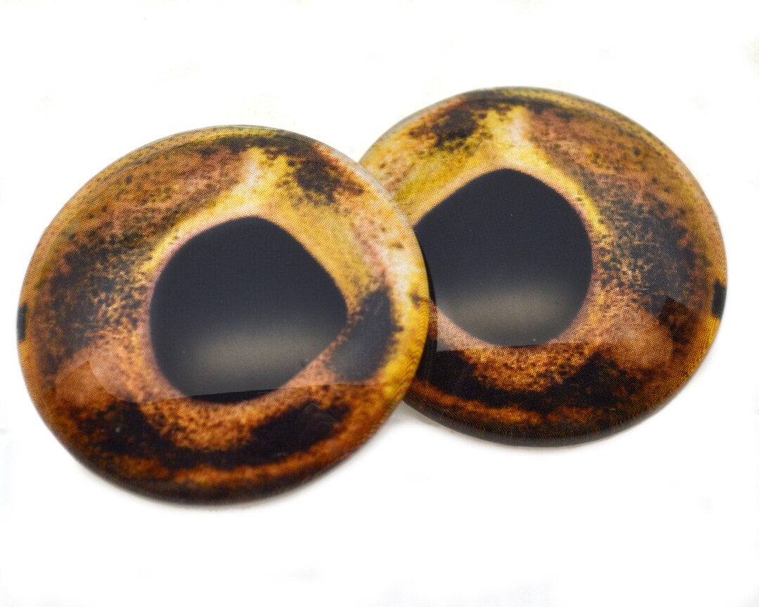 Brown Speckled Trout Fish Glass Eyes Realistic 6mm to 78mm Jewelry ...