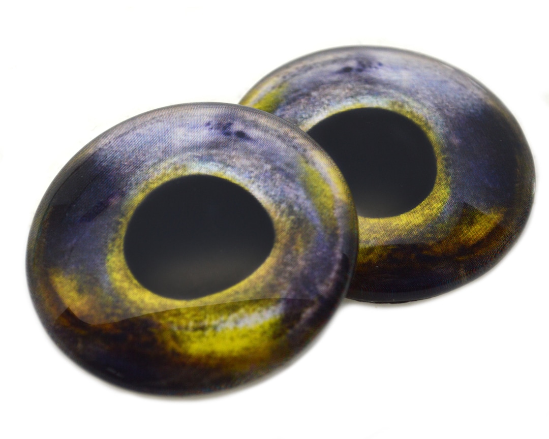 Northern Pike Predator Fish Glass Eyes Realistic 6mm to 78mm Jewelry ...