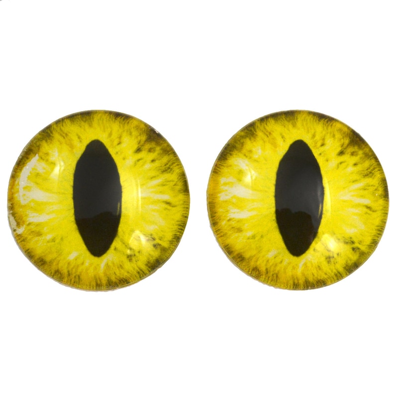 Black Bjd 1/6 Eyes - Etsy