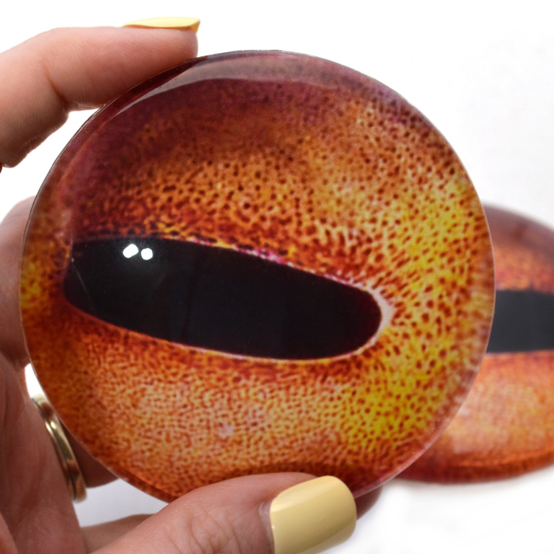 Giant 78mm Orange Octopus Glass Eyes 3 Inch Large Faux Taxidermy Ocean ...