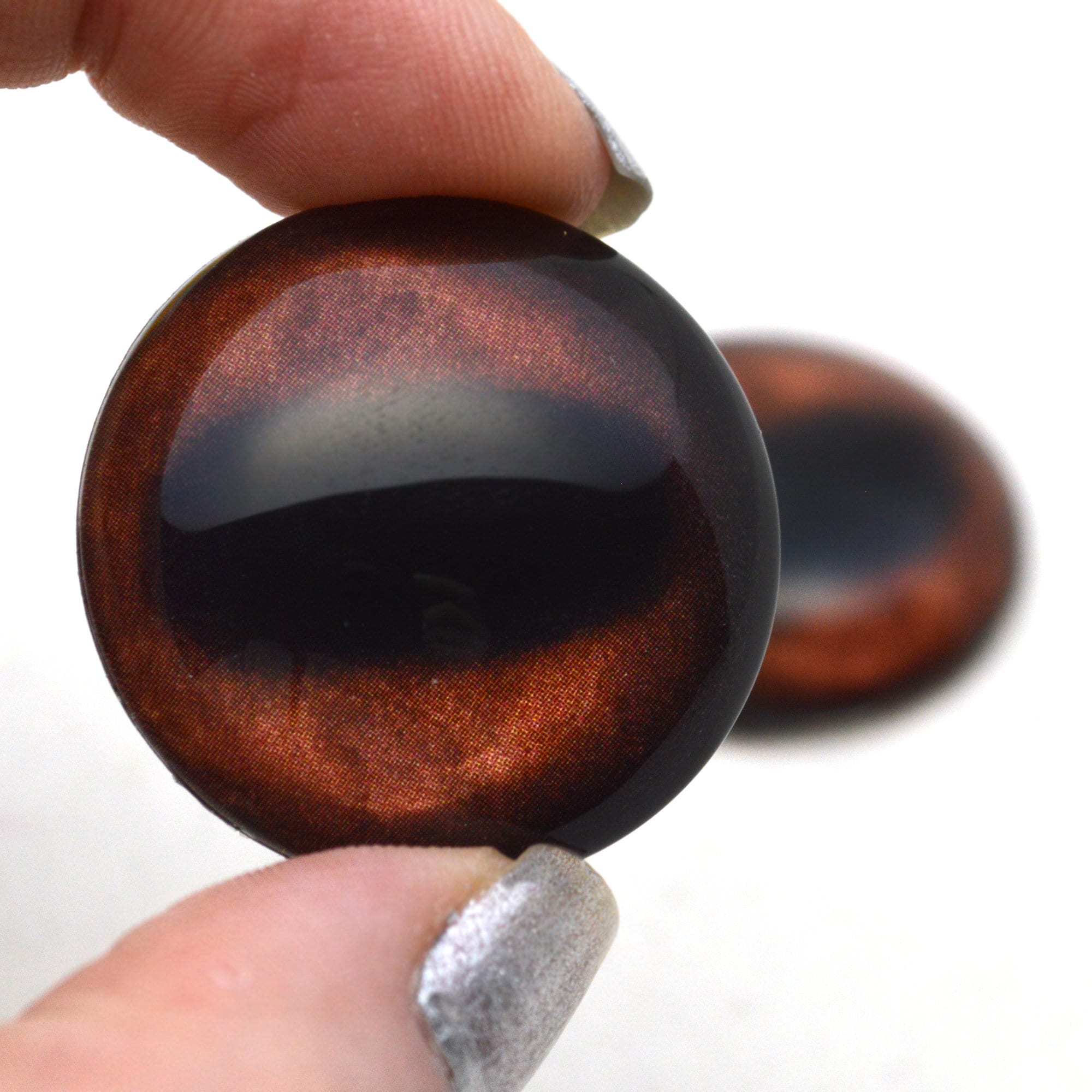 Cucciolo Di Serpente Testa Di Rame