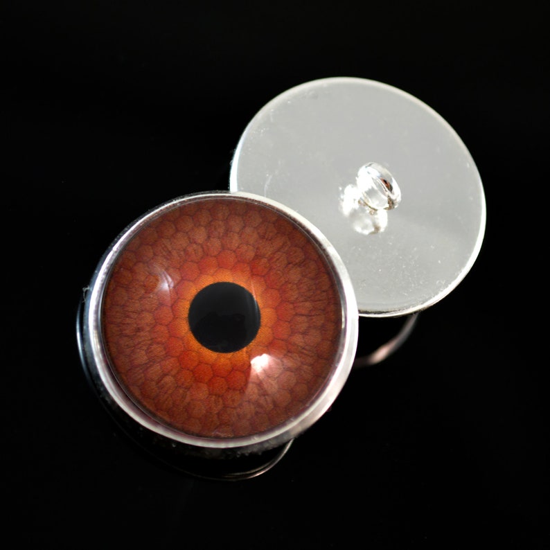 10mm - 30mm Amber Honeycomb Honey Bee Button Eyes Sew on Shank With ...