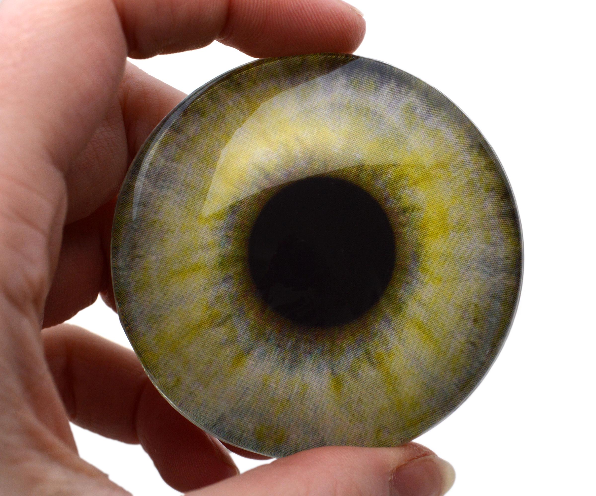 Light Green Human Glass Eyes Realistic 6mm to 78mm Jewelry Real Art ...