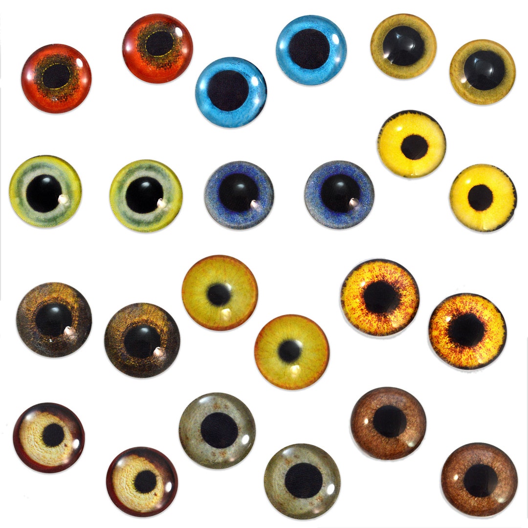Bulk Realistic Bird Glass Eyes 12 Pairs 10mm Cabochons Animal Art Doll ...