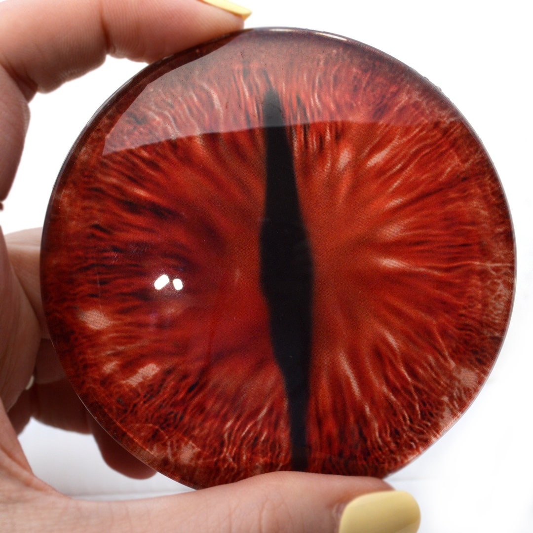Huge 78mm Red Dragon Glass Fantasy Eyes 3 Inch Large Faux Taxidermy Art ...