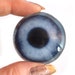 Blue Dog Glass Animal Eyes, 6mm to 40mm, Jewelry Making Art Dolls Puppy ...