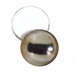Realistic Pale Goat Animal Glass Eyes 6mm to 40mm Jewelry Cabochon Art ...