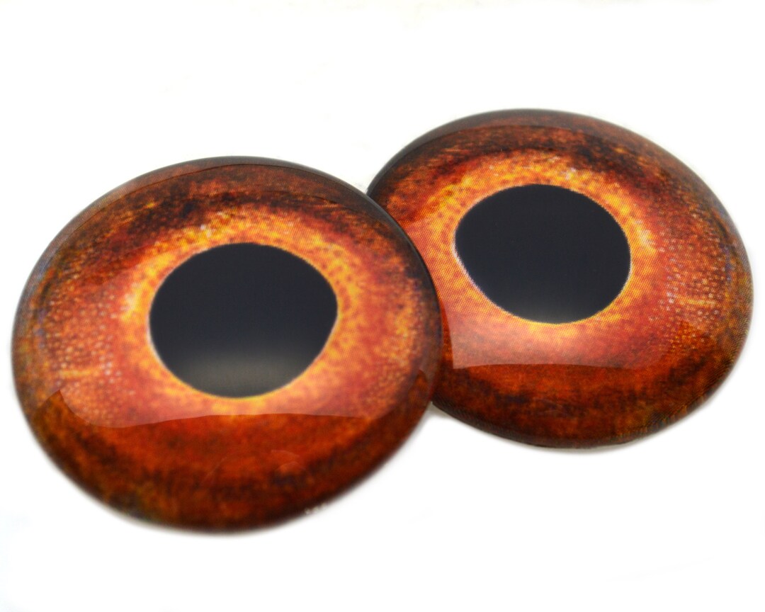 Orange Tench Fish Glass Eyes Realistic 6mm to 78mm Jewelry Making Art ...