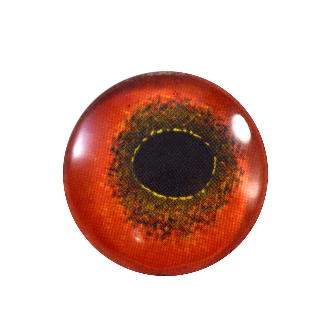 Red Bird Glass Eyes 6mm To 40mm For Jewelry Making Art Dolls Fowl