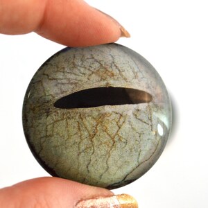 Realsitic Javan Tree Frog Handmade Animal Glass Eyes 6mm to 40mm ...