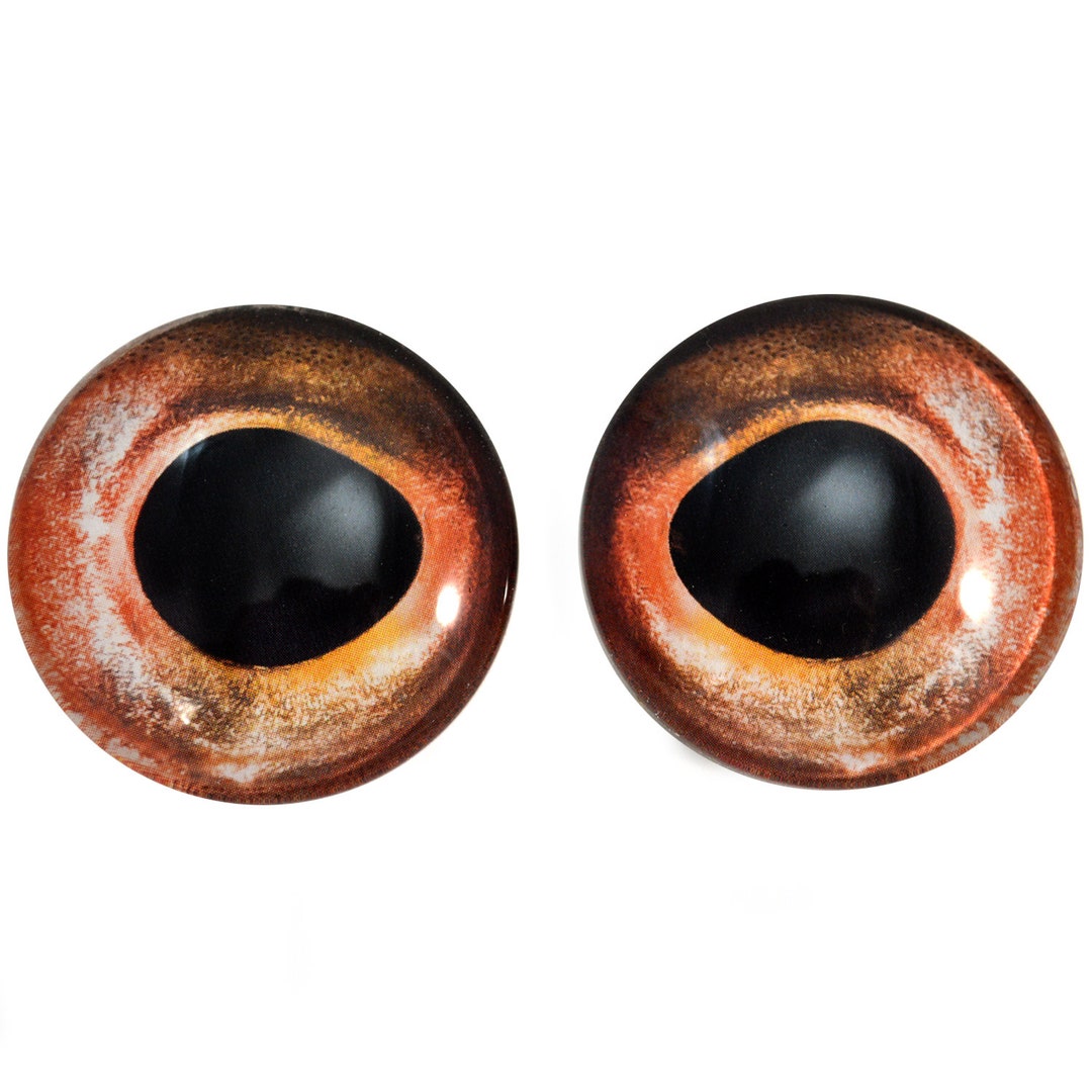 Red Bass Fish Glass Eyes - Pick Your Size - for Jewelry Making, Art ...