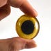 5 Pairs 30mm Realistic Bird Glass Eye Cabochons Set of 10 Eyes - Bulk ...