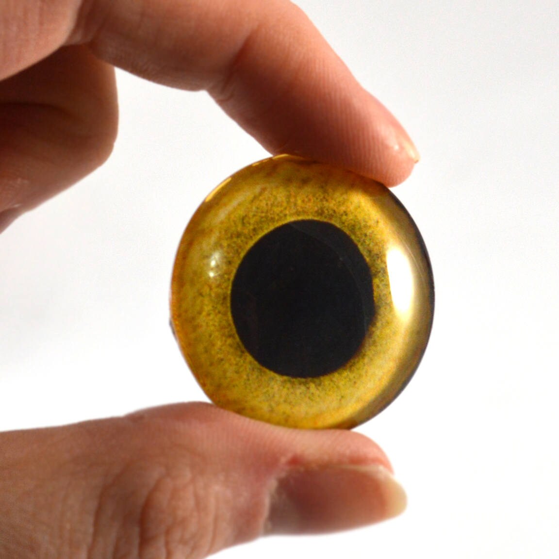 5 Pairs 30mm Realistic Bird Glass Eye Cabochons Set of 10 Eyes - Etsy