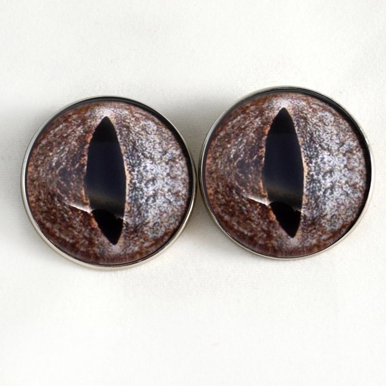 10mm 30mm Diamondback Rattlesnake Animal Button Eyes Sew on | Etsy