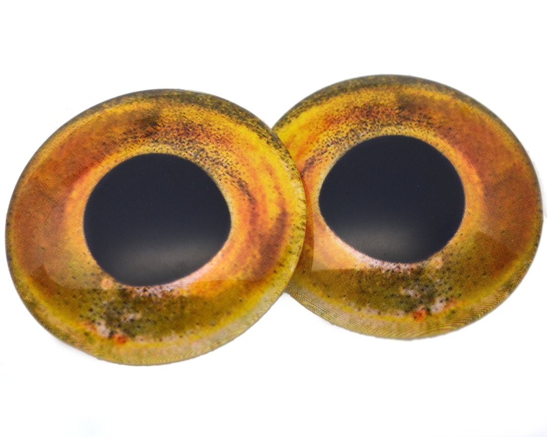 Golden Yellow Fish Glass Eyes Realistic 6mm to 78mm Size Mirrored ...