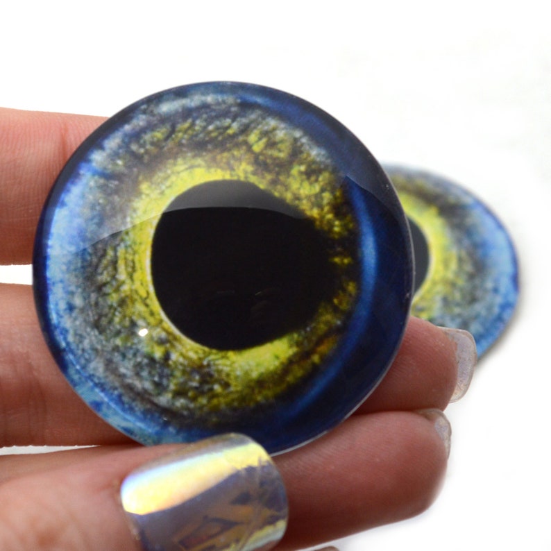 Moray Eel Glass Eyes Realistic Electric Green Blue Yellow 6mm to 60mm ...