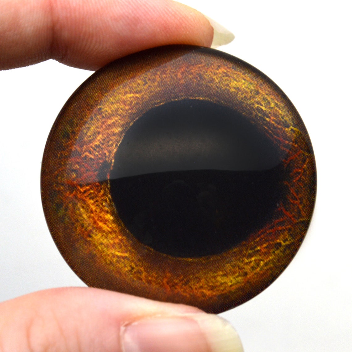 Corn Snake Handmade Glass Eyes Realistic Garden Animal 6mm to 40mm ...
