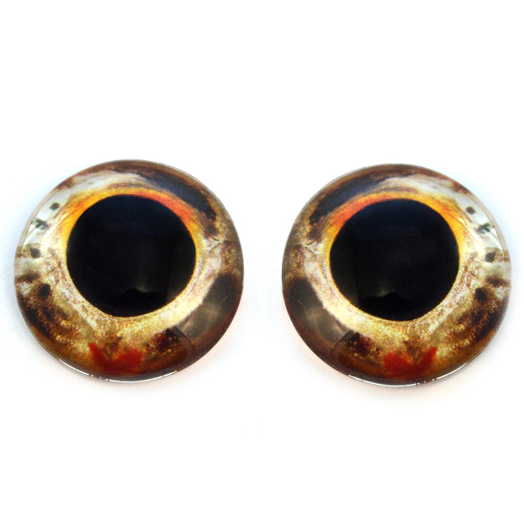 Goldfish Realistic Fish Glass Eyes - 6mm to 40mm - Jewelry Cabochons ...
