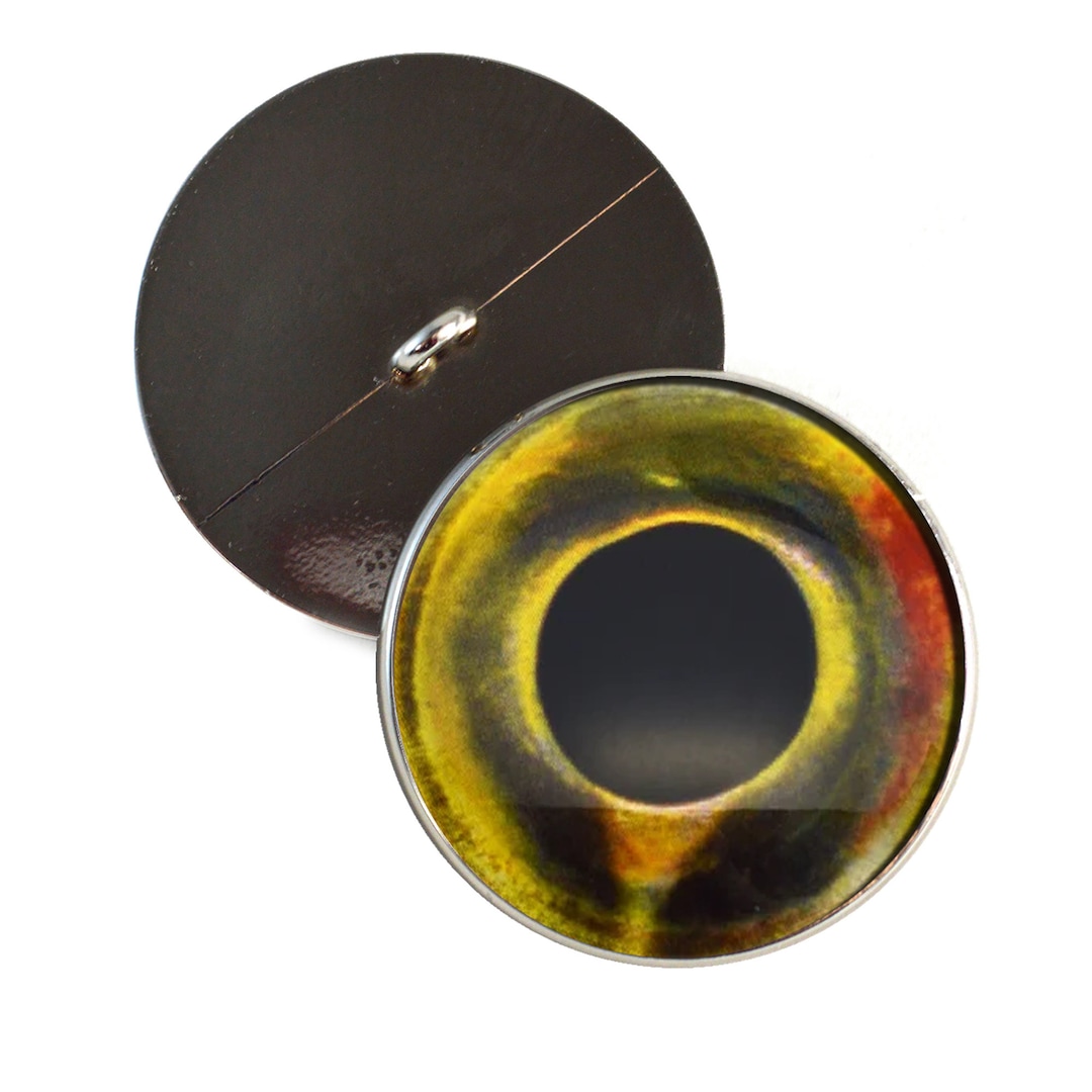 10mm - 30mm Altum Angelfish Button Eyes Sew on Shank With Loop Stuffed ...