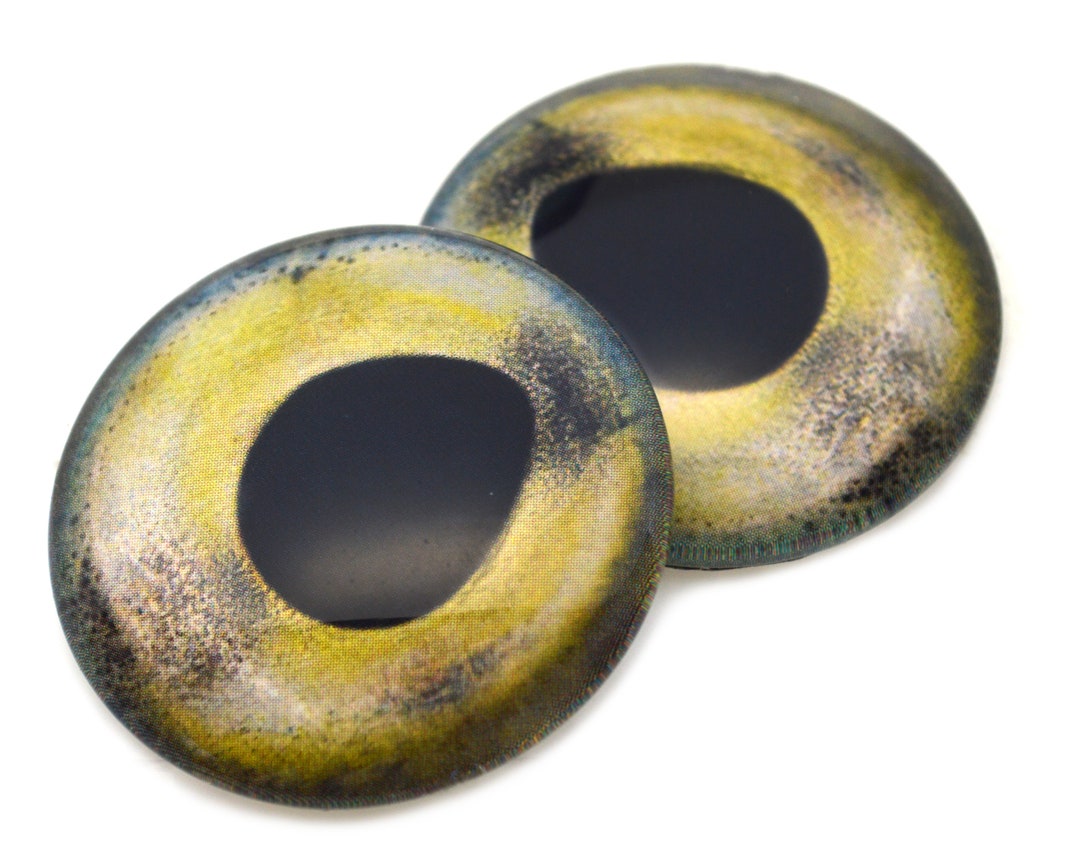 Rainbow Trout Fish Glass Eyes Realistic 6mm to 78mm Jewelry Making Art ...