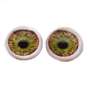 High Dome Hazel Human With Whites Half Sphere Glass Eyes | Hemisphere ...