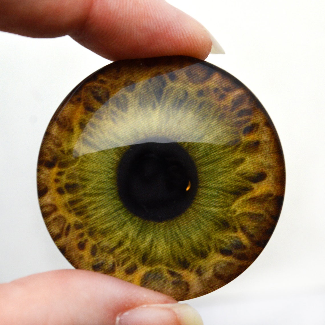 Hazel Human Glass Eyes Sizes 6mm to 40mm Jewelry Real Art Dolls Dark ...