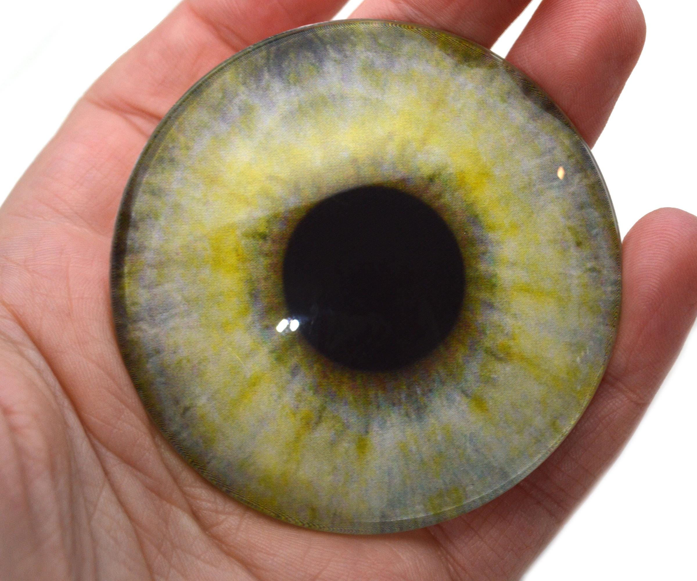 Light Green Human Glass Eyes Realistic 6mm to 78mm Jewelry Real Art ...