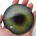 Huge 78mm Green Realistic Glass Human Eyes 3 Inch Large Faux Taxidermy ...