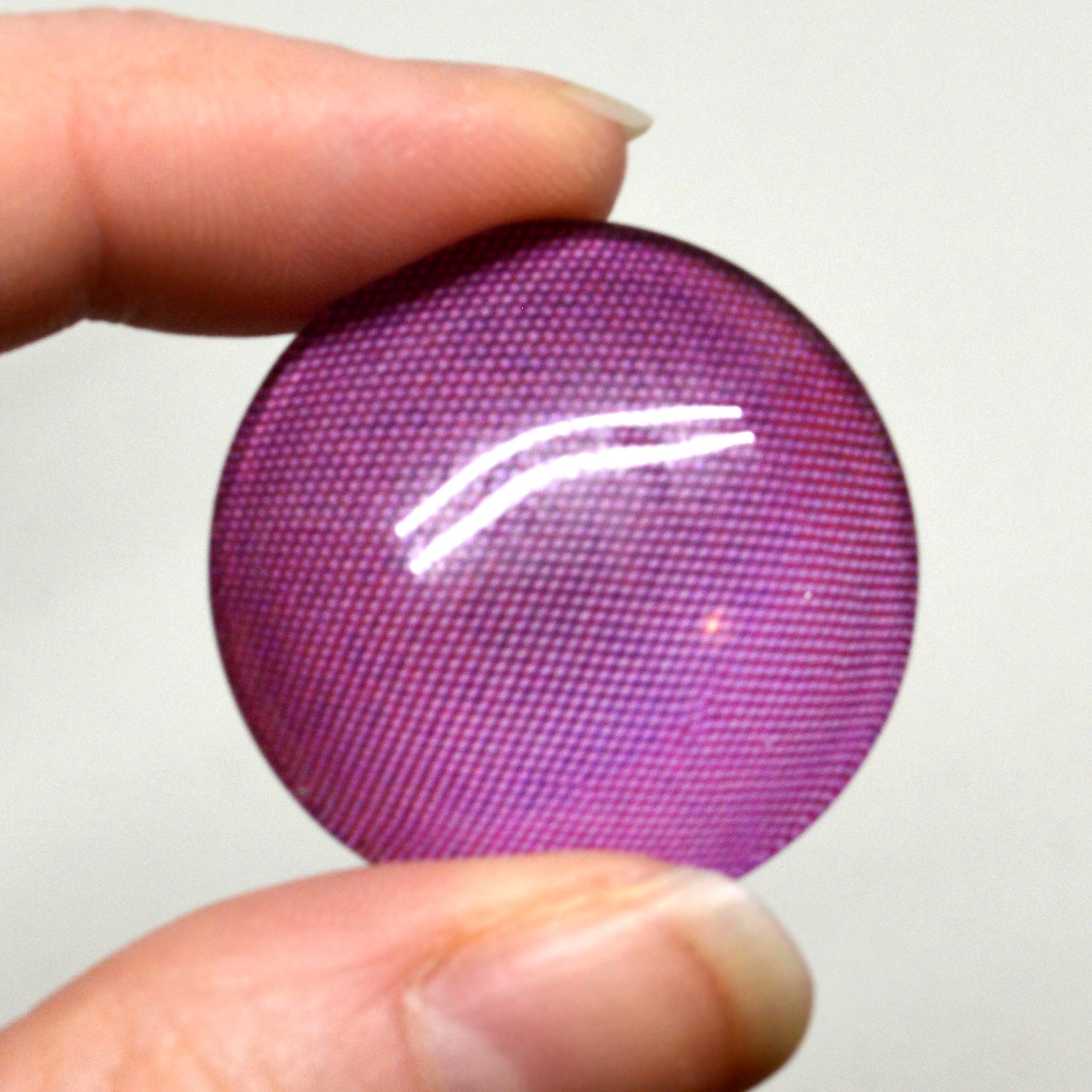 Burgundy Red Wine Realistic Bug Fly Insect Compound Glass - Etsy