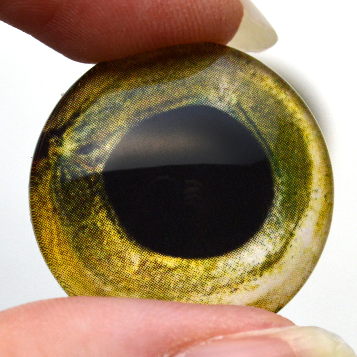 Sockeye Salmon Realistic Fish Glass Eyes - 6mm to 40mm - Natural ...