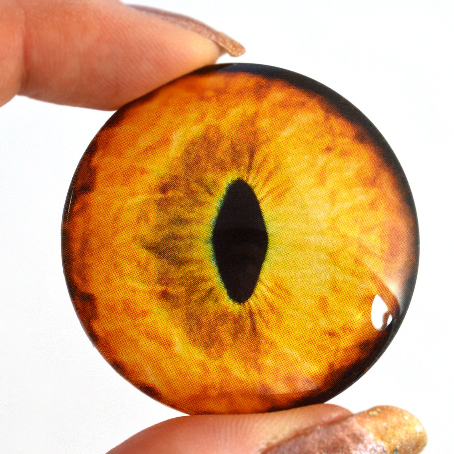 5 Pairs Realistic Cat Eyes Bundle Glass Eye Cabochons Set of 10 Eyes ...