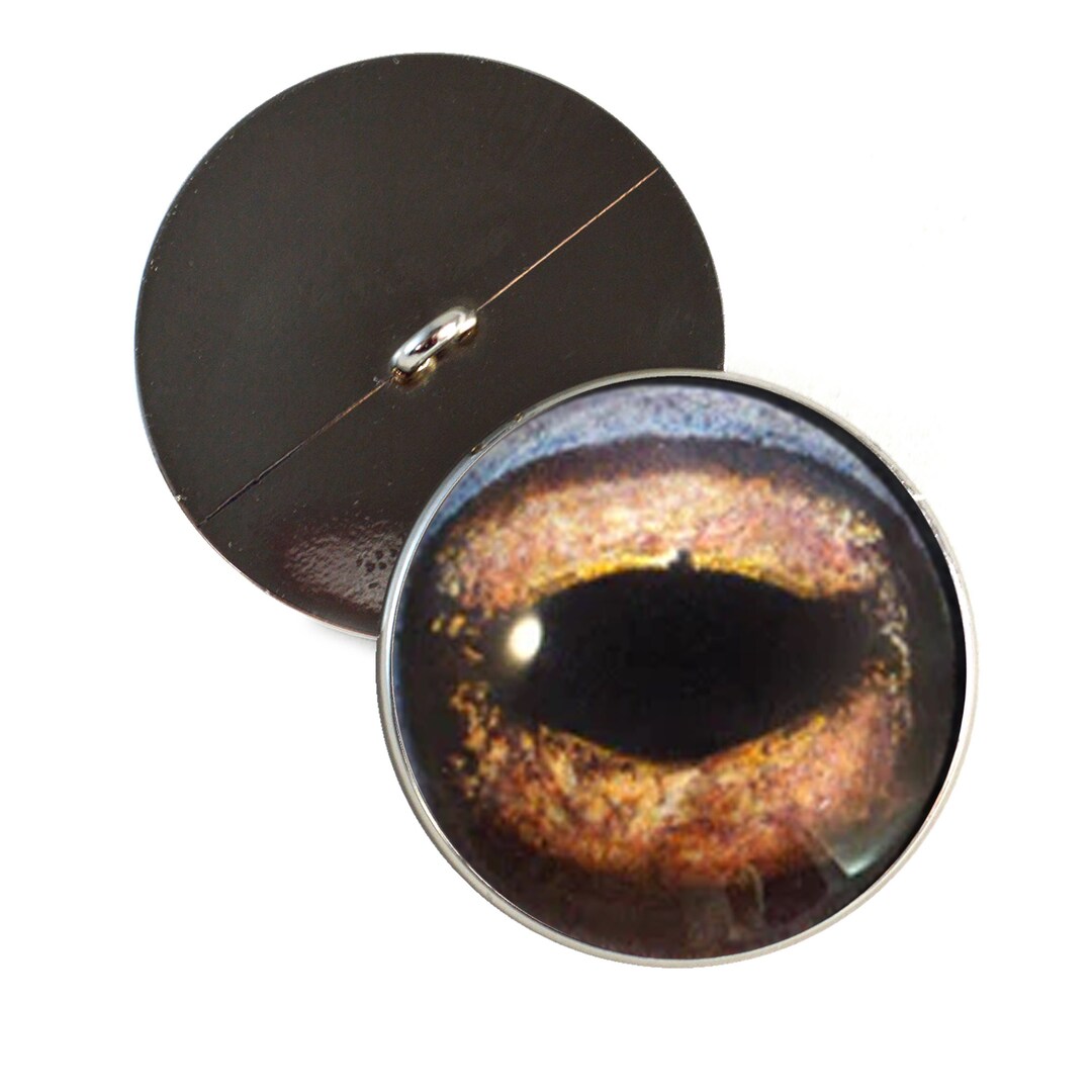 10mm - 30mm Brown Toad Frog Button Eyes Sew on Shank Loops Stuffed ...