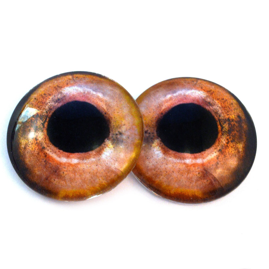 Realistic Wild Fish Glass Eyes - 6mm to 40mm - Jewelry Cabochons Doll ...