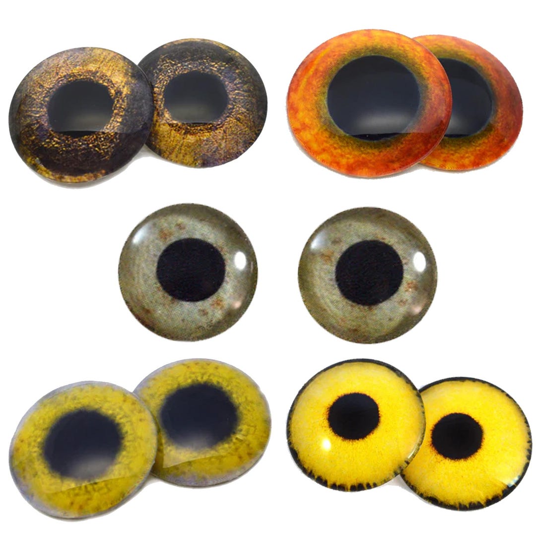 5 Pairs Birds of Prey Bundle Glass Eye Cabochons Set of 10 Eyes - Bulk ...