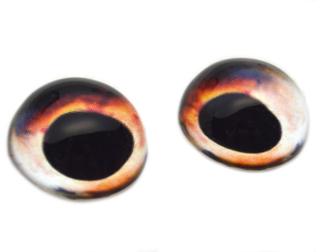 High Dome Cod Fish Half Sphere Glass Eyes Saltwater Ocean Sea Creature ...