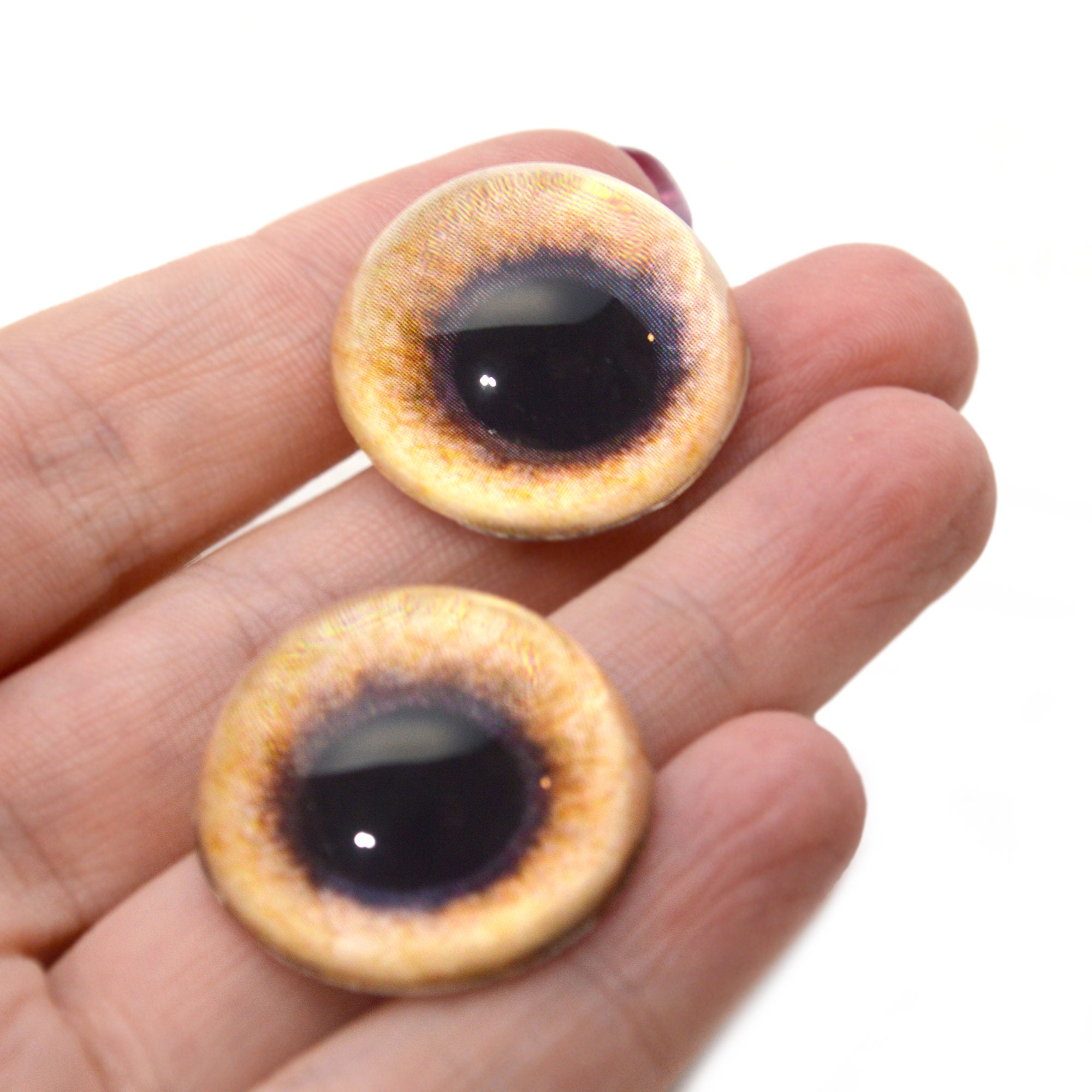 High Dome Tan Pheasant Half Sphere Glass Bird Animal Eyes | Hemisphere ...