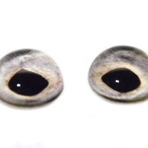 High Dome Chinook Salmon Fish Half Sphere Glass Eyes Silver Sea Ocean ...