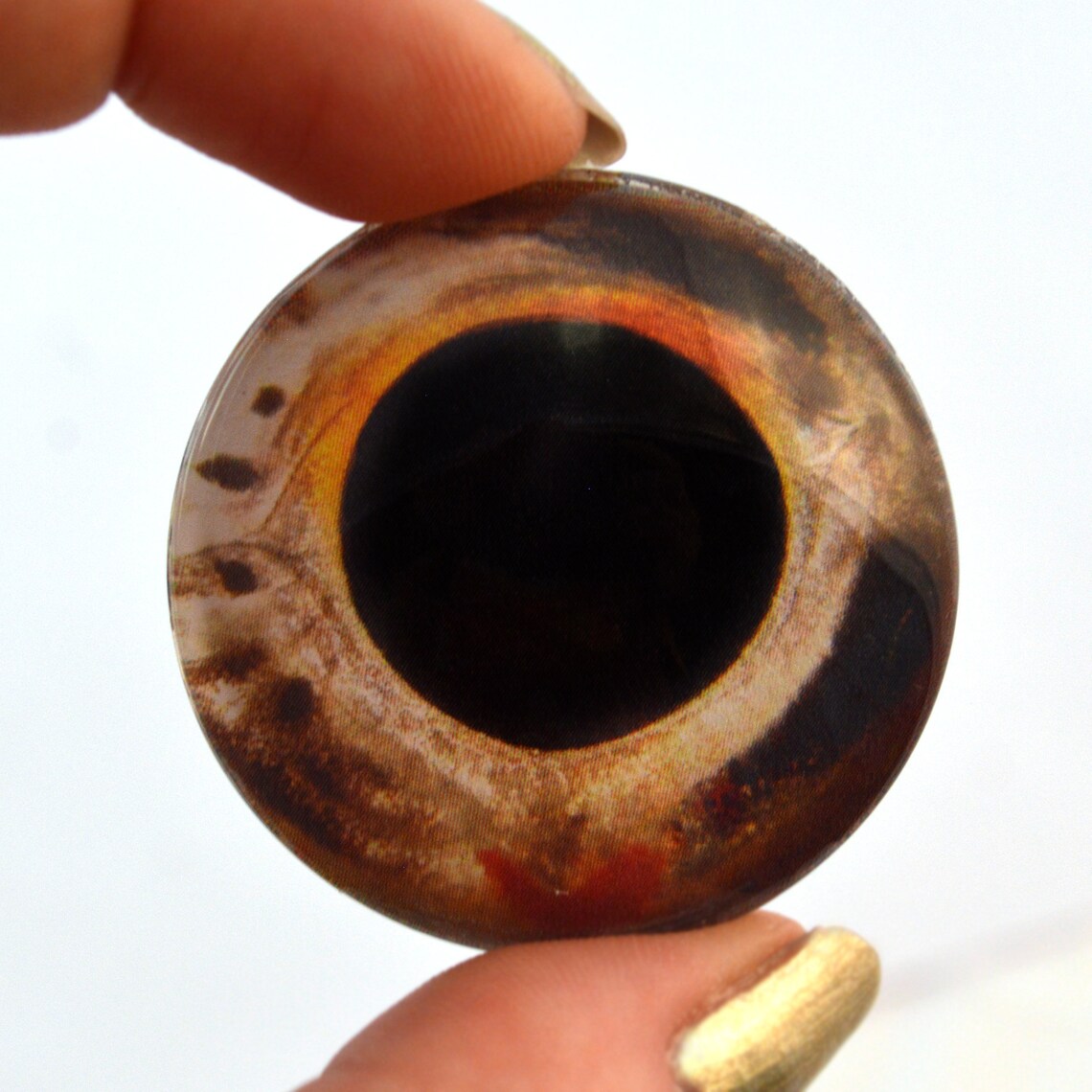 Goldfish Realistic Fish Glass Eyes 6mm to 40mm Jewelry - Etsy