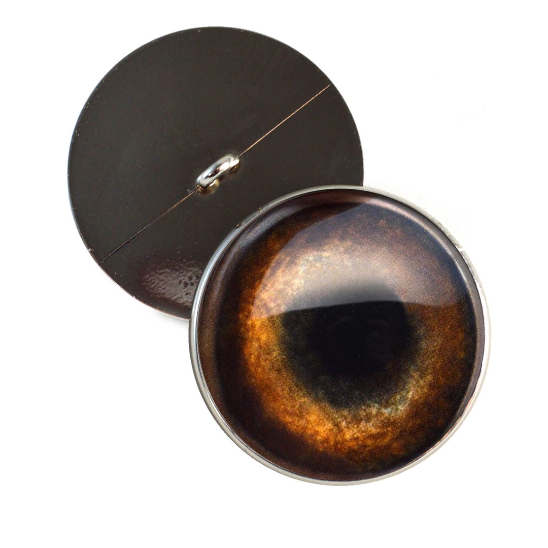 10mm - 30mm Medium Brown Dog Realistic Button Eyes Sew on Shank Loops ...