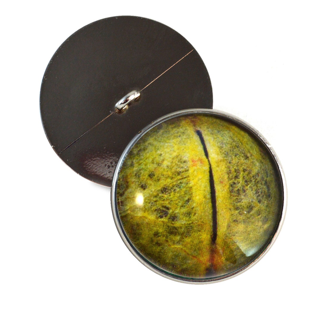 10mm - 30mm Python Snake Reptile Button Eyes Sew on Shank With Loop ...