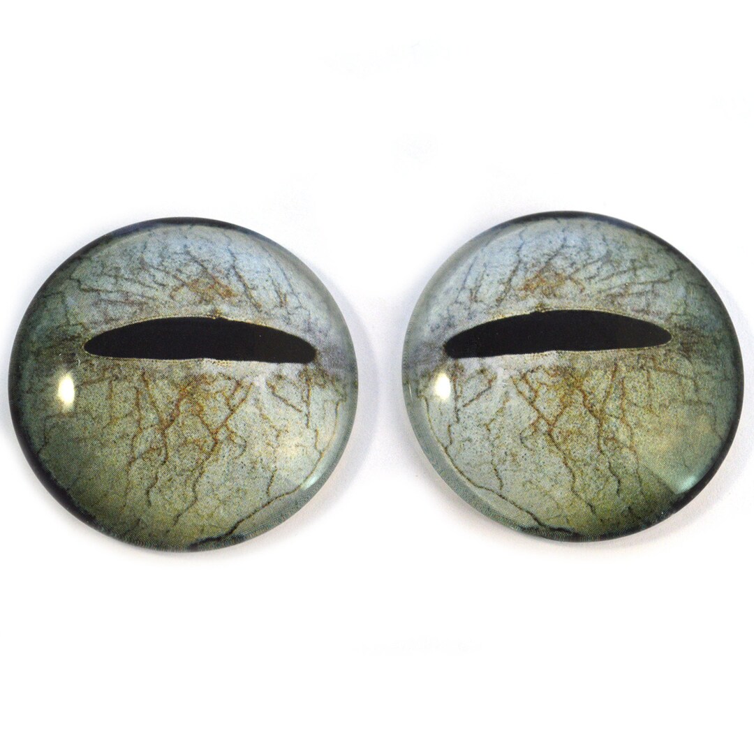 Realsitic Javan Tree Frog Handmade Animal Glass Eyes 6mm to 40mm ...