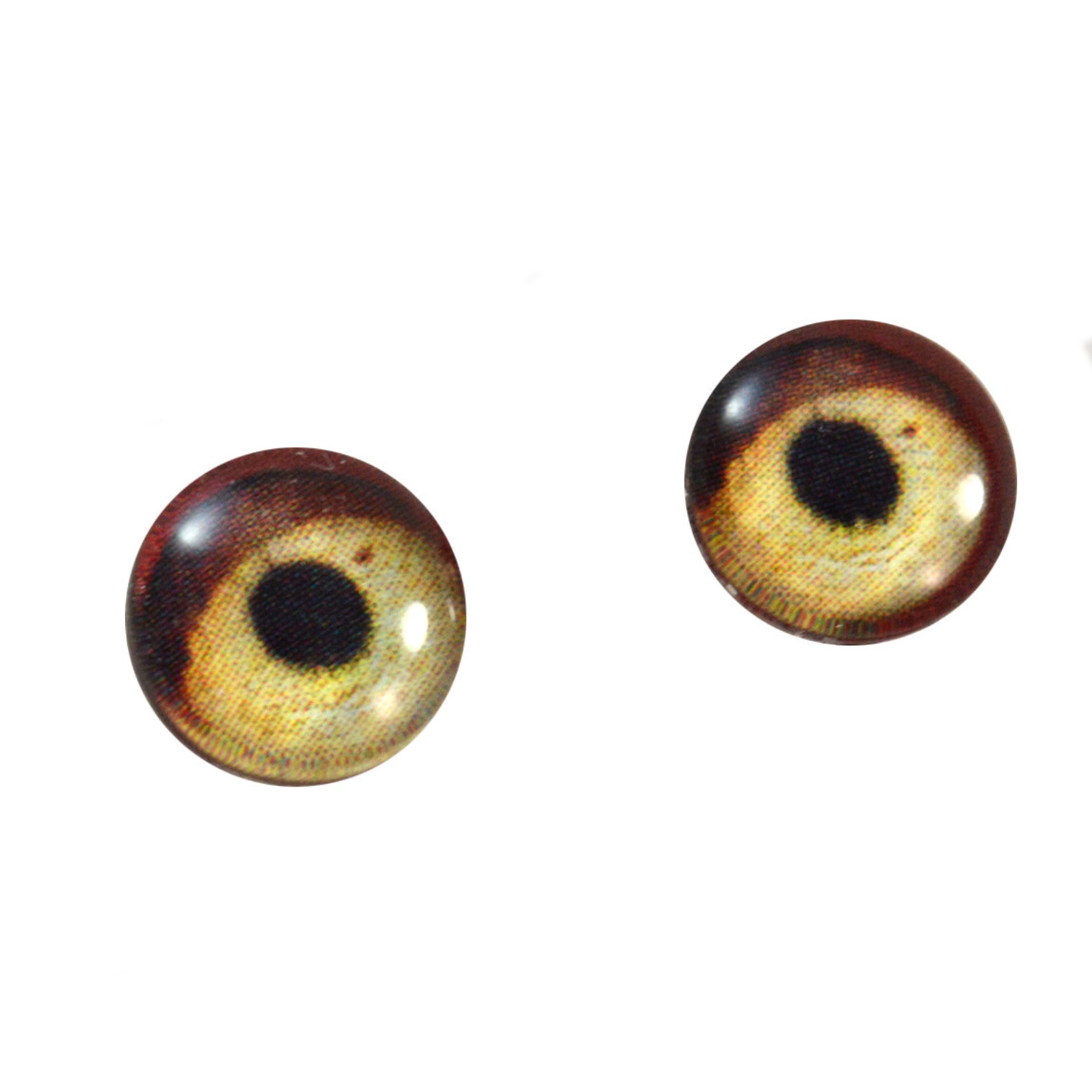 Bulk Realistic Bird Glass Eyes 12 Pairs 10mm Cabochons Animal Art Doll ...
