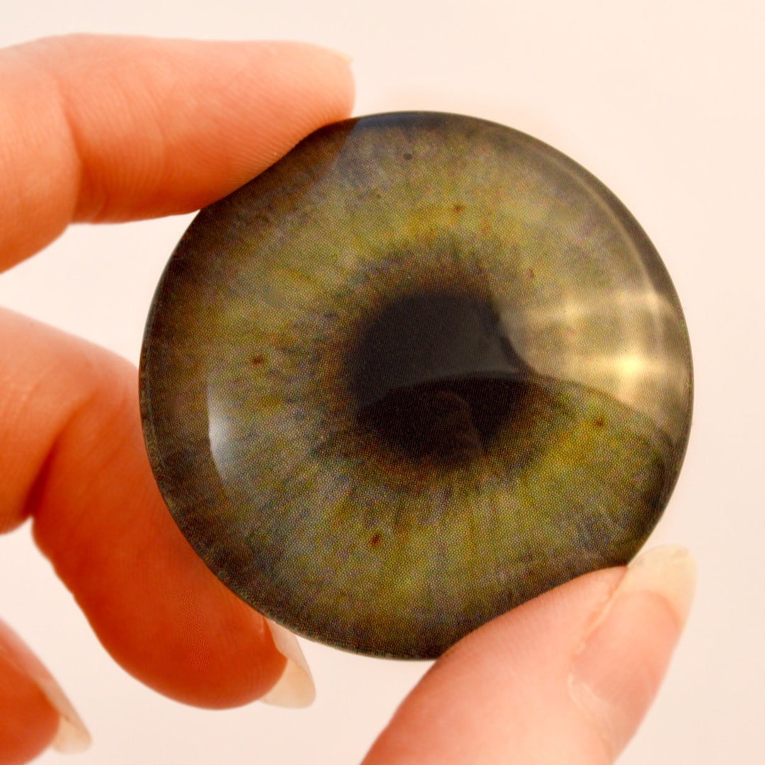 Realistic Green Human Glass Eyes Sizes 6mm to 40mm Jewelry Real Art ...