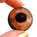 Realistic Wild Fish Glass Eyes - 6mm to 40mm - Jewelry Cabochons Doll ...
