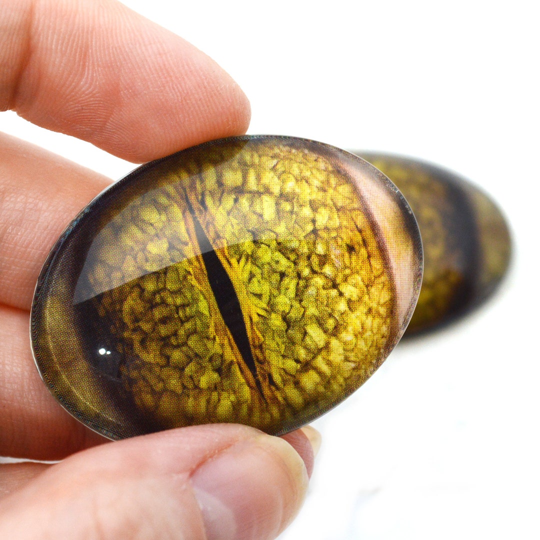 Swamp Creature Oval Glass Eyes - Choose Your Size: 13mmx18mm, 18mmx25mm ...