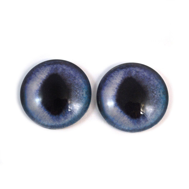 5 Pairs Realistic Cat Eyes Bundle Glass Eye Cabochons Set of 10 Eyes ...